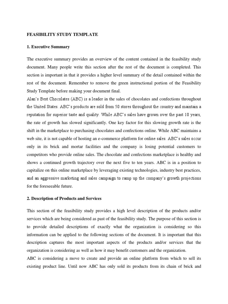 Feasibility Study Template | PDF | Sales | Feasibility Study