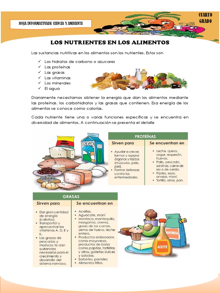 Nutrientes Esenciales en Alimentos | PDF | Salud y bienestar