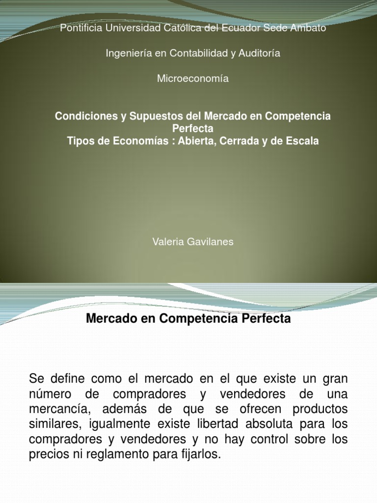 Condiciones y Supuestos Del Mercado en Competencia Perfecta ...