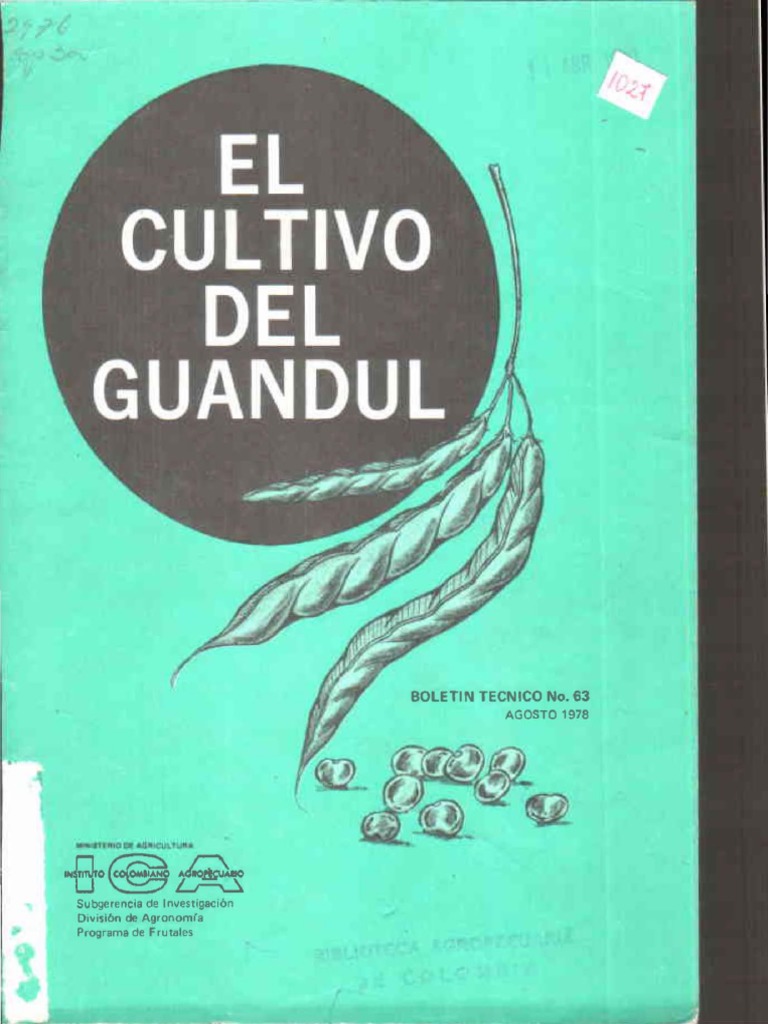 ICA - El Cultivo Del Guandul (Gandul) | PDF | Fertilizante | Cereales