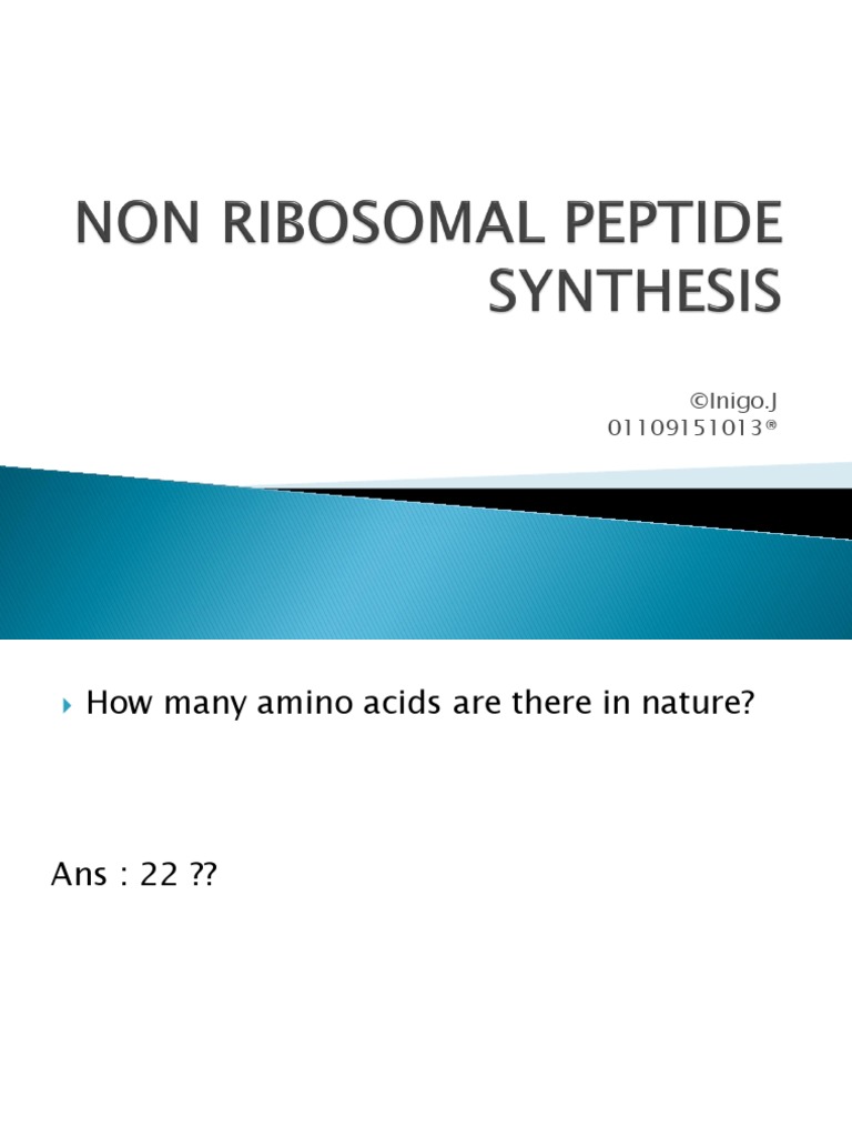 Non Ribosomal Peptide Synthesis | PDF | Biosynthesis | Protein Domain