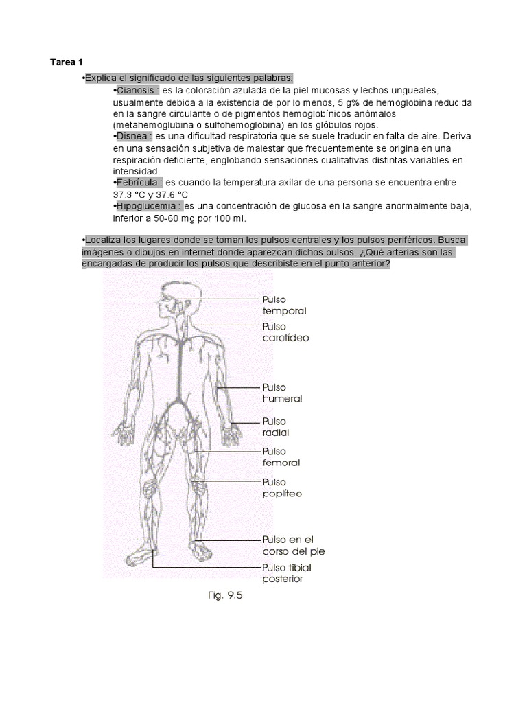 Asise Tarea 1 | PDF