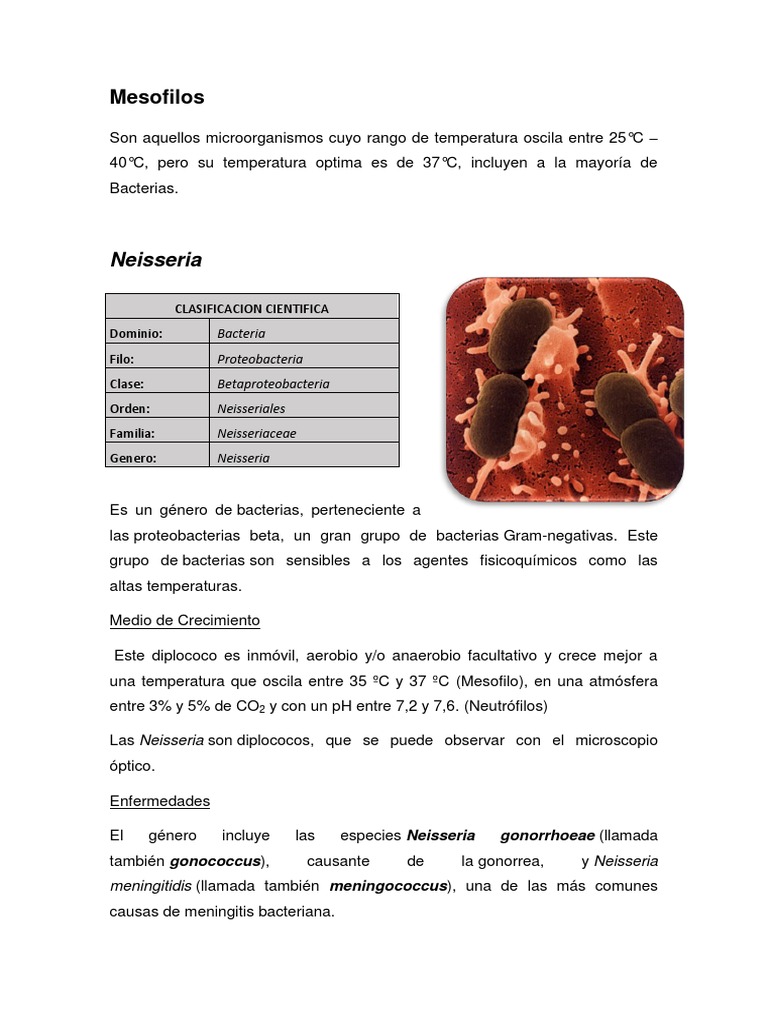 Criofilos y Mesofilos | PDF | Pseudomonas | Las bacterias