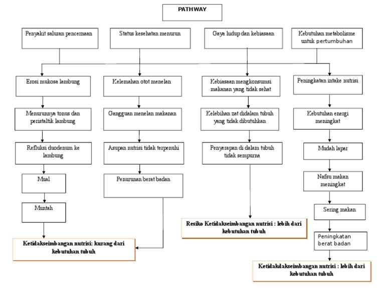 Pathway Nutrisi | PDF
