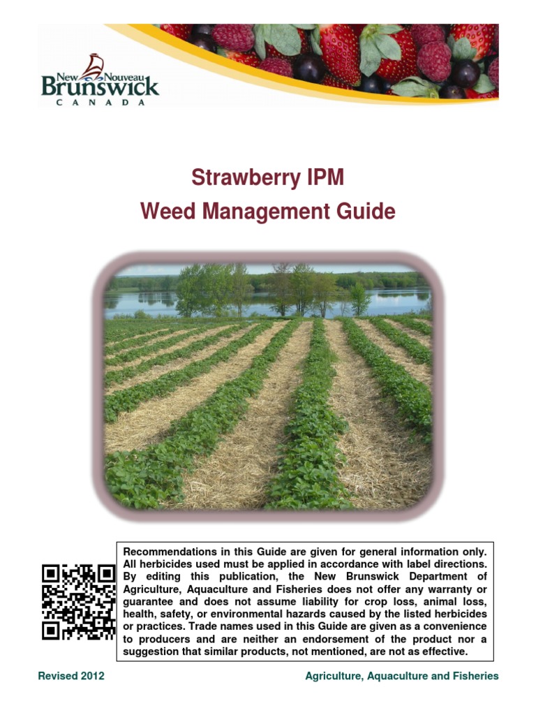 Strawberry I PM | PDF | Herbicide | Weed