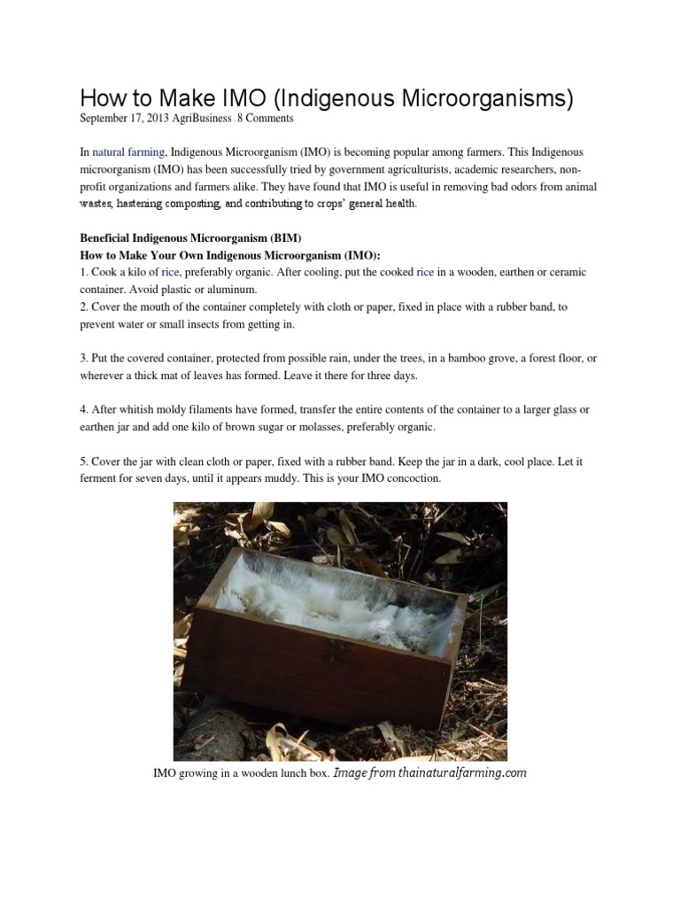 How To Make IMO | PDF | Bacteria | Microorganism