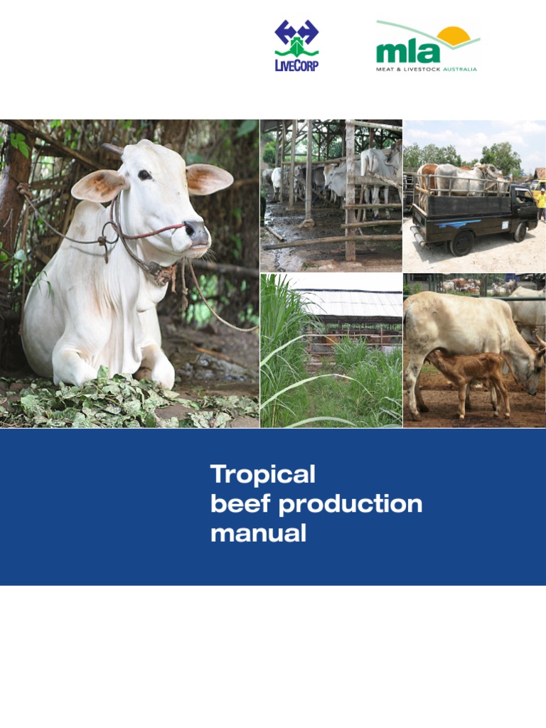 Tropical Beef Production Manual | PDF | Ruminant | Digestion