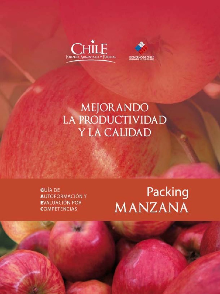 Packing Manzana | PDF | Organización Internacional del Trabajo ...