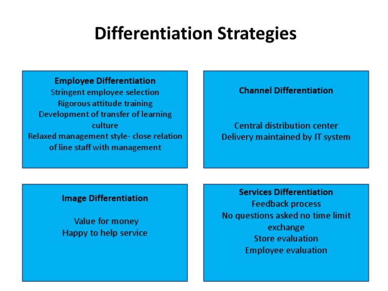 Differentiation Strategies Overview | PDF