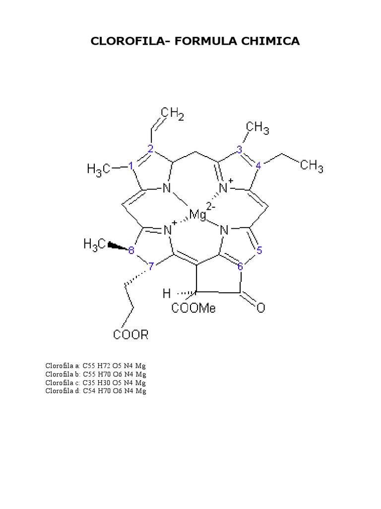 Clorofila A