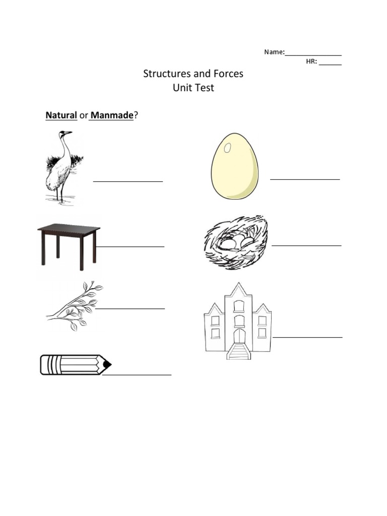 Structures and Forces Unit Test Guide | PDF