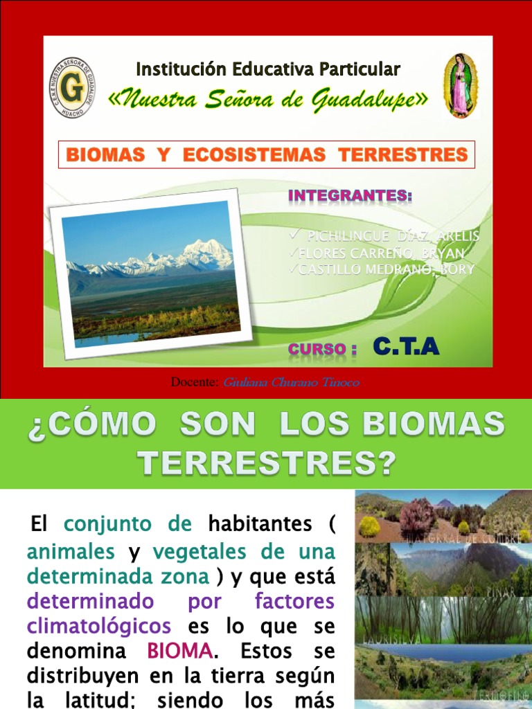 Biomas Ecosistemas Terrestres | PDF | Arboles | Suelo