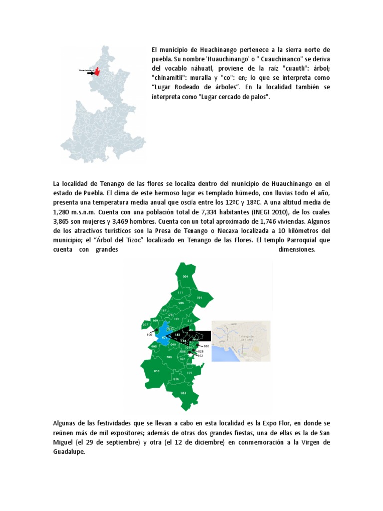 Tenango de Las Flores | PDF | Orchidaceae | Jardinería