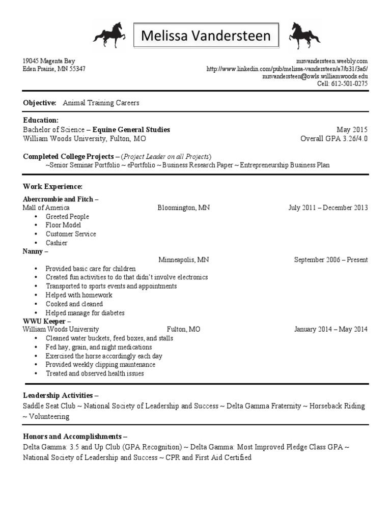 Melissa Vandersteen's Career Overview | PDF
