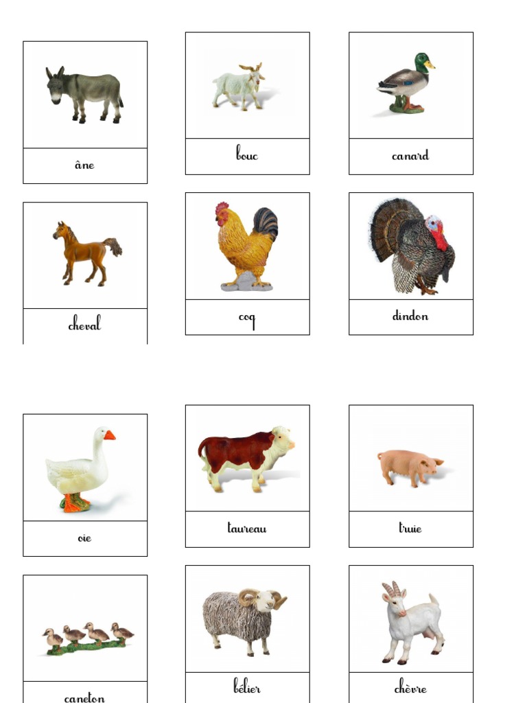 Animaux de La Ferme Et Campagne | PDF | Livres de cuisine, nourriture ...