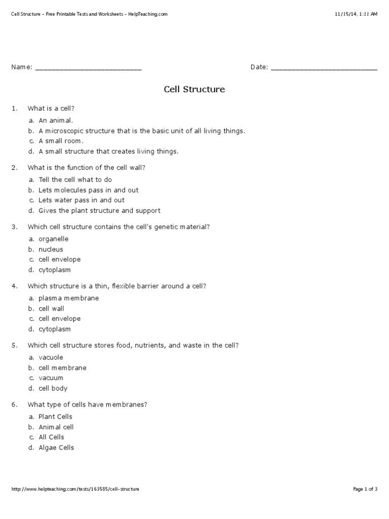 Chap 7 Worksheet | PDF | Cytoplasm | Cell (Biology)