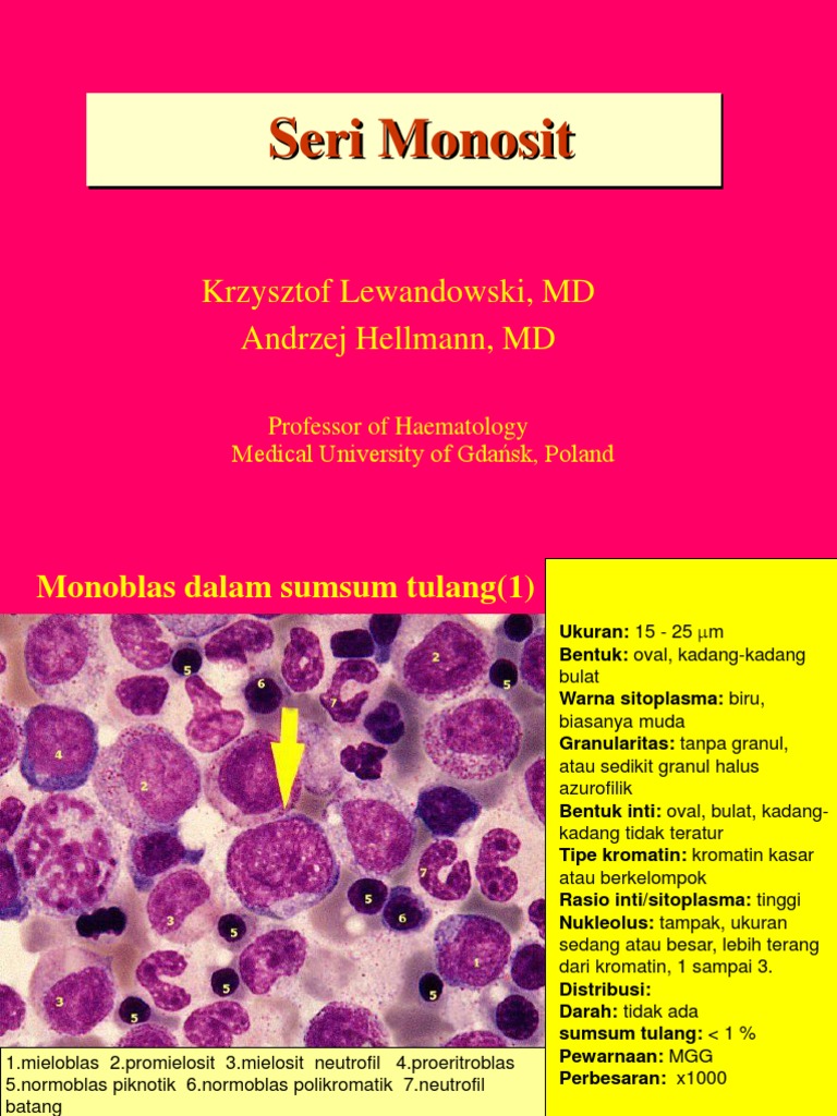 Monosit | PDF