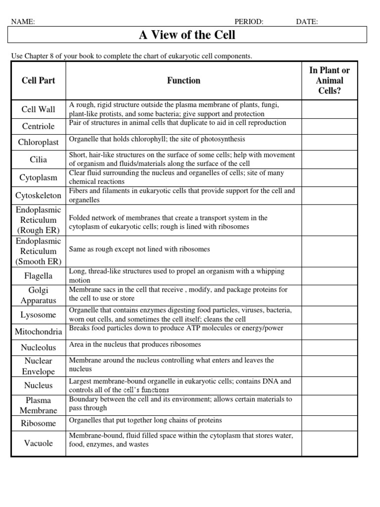 Eukaryotic Cell Components Overview | PDF | Endoplasmic Reticulum ...