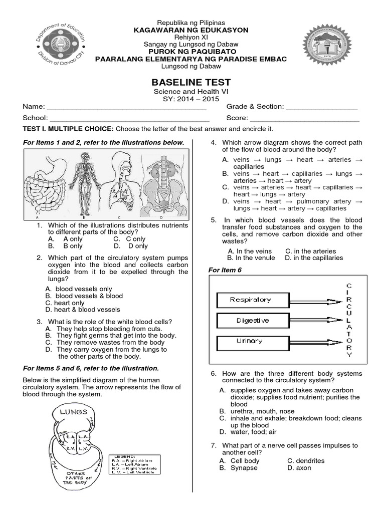 GRADE VI Science Baseline Test | PDF | Artery | Heart