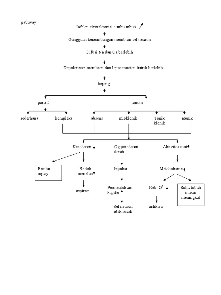 Pathway Kejang | PDF | Sains & Matematika | Teknologi & Rekayasa