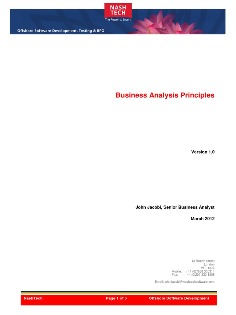 Business Analysis Principles | PDF | Use Case | Business Analysis