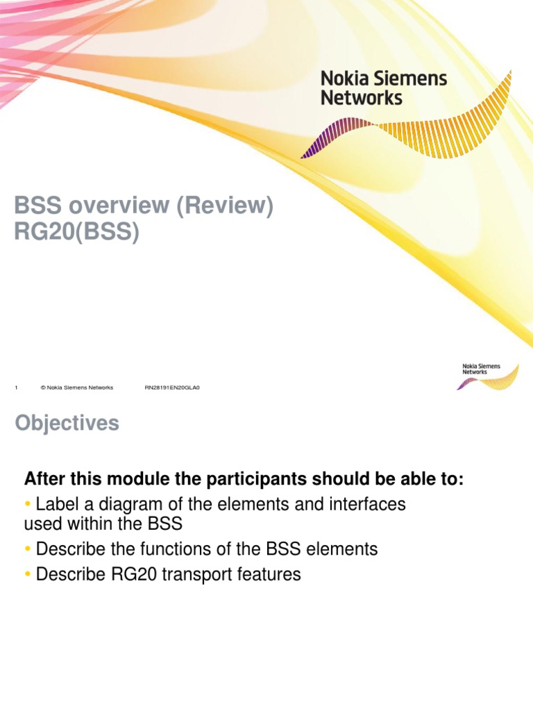 Bss Overview | Download Free PDF | Telecommunications | Networks