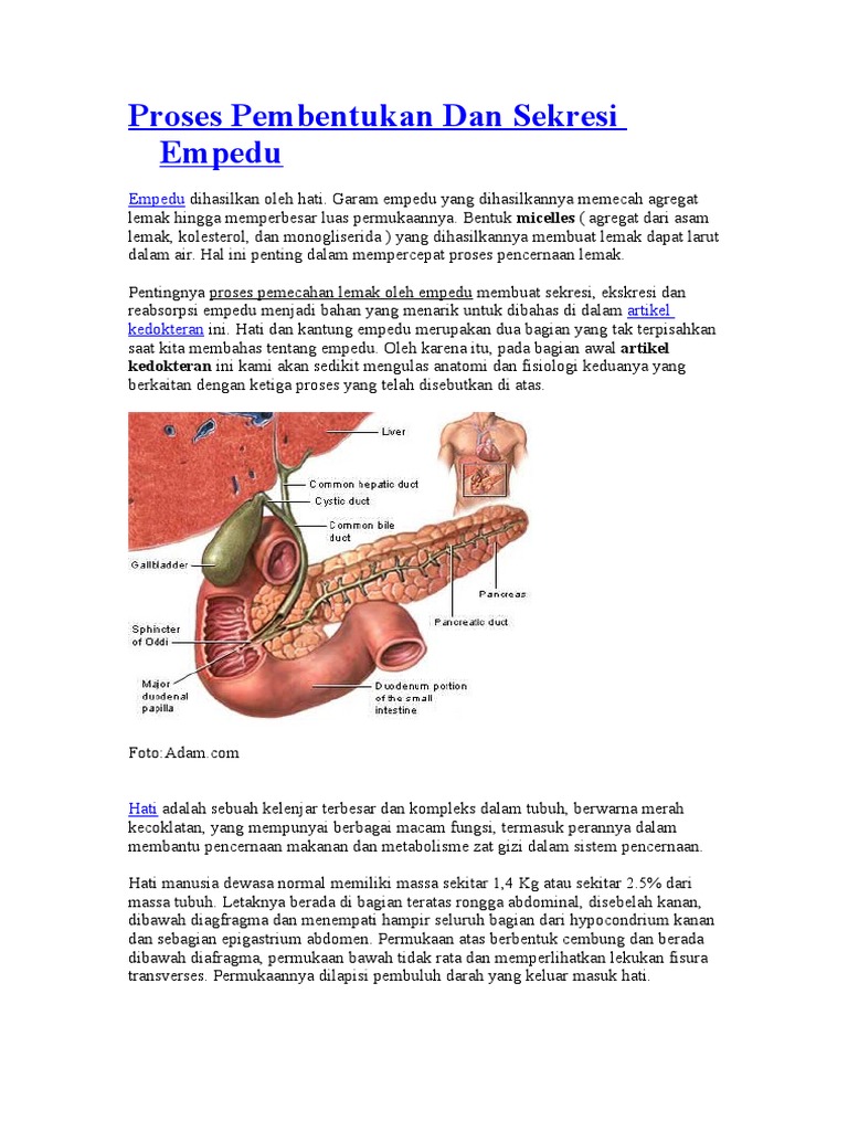Garam Empedu | PDF