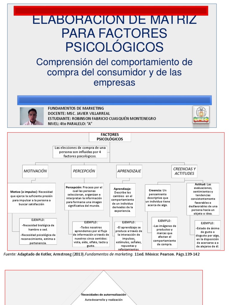 Elaboración de Matriz para Factores Psicológicos | PDF | Sicología ...