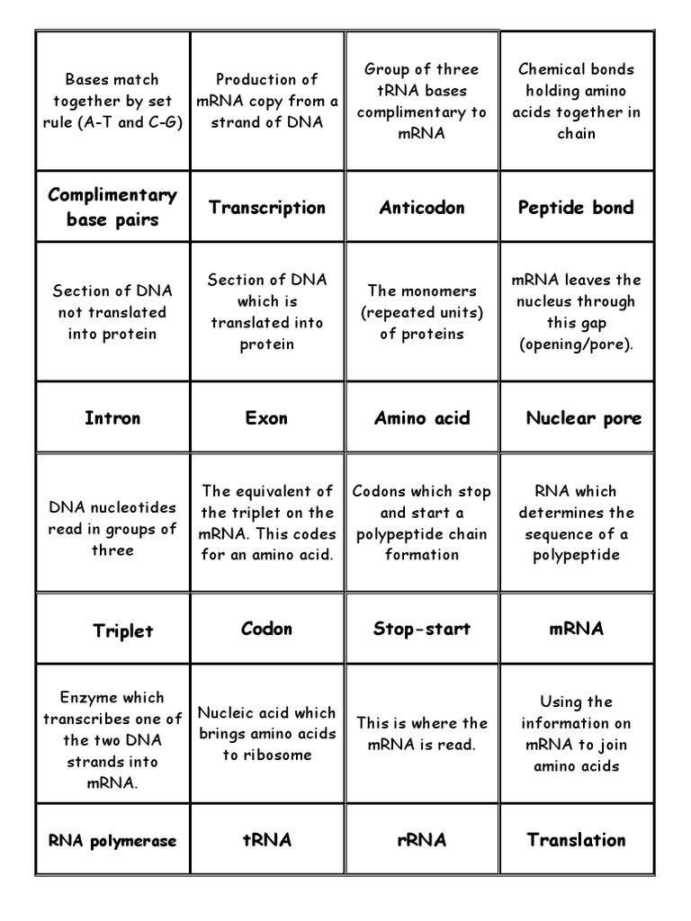 Basic Biology Flashcard | PDF | Operon | Dna Replication