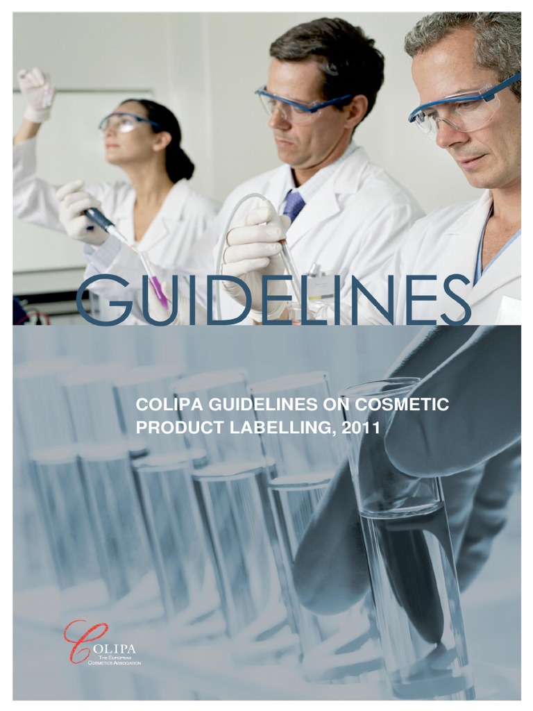 Guidelines on Cosmetic Product Labelling Requirements in the European ...