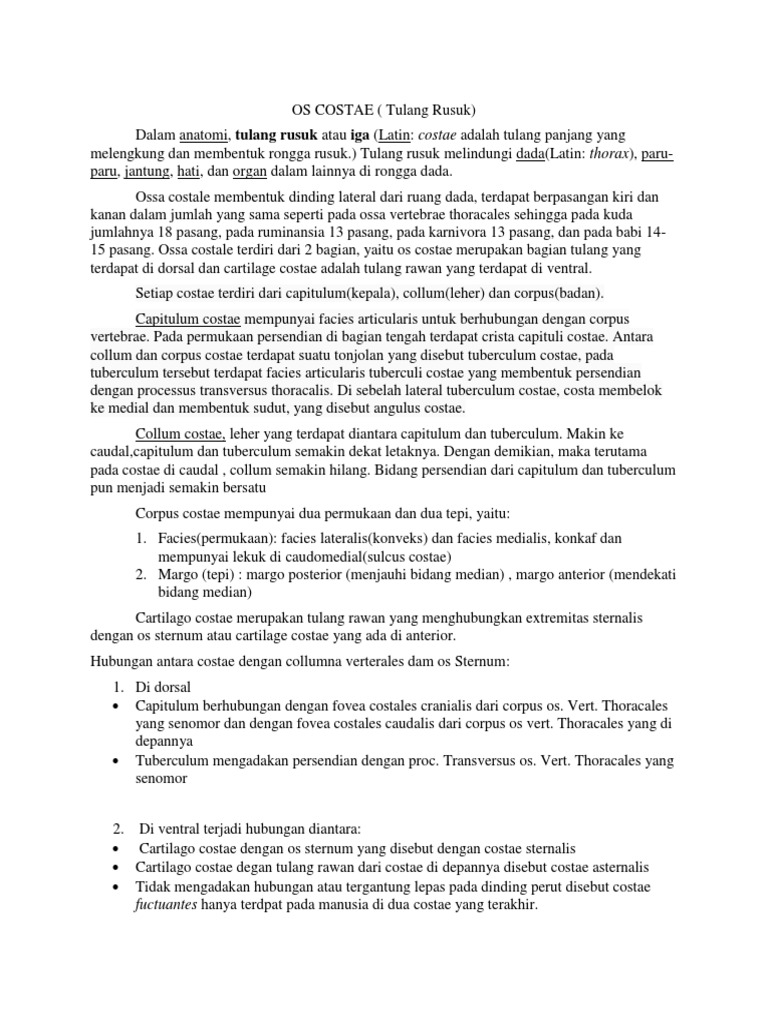 Os Costae | PDF | Ilmu Sosial