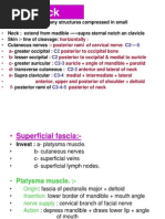 External Vs Internal Jugular Vein | PDF | Vein | Human Anatomy