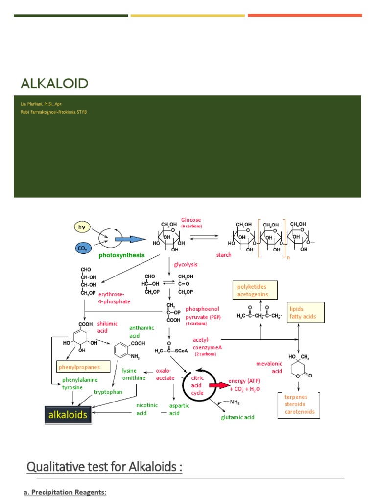 Alkaloid Extraction and Identification Techniques | PDF | Alkaloid ...