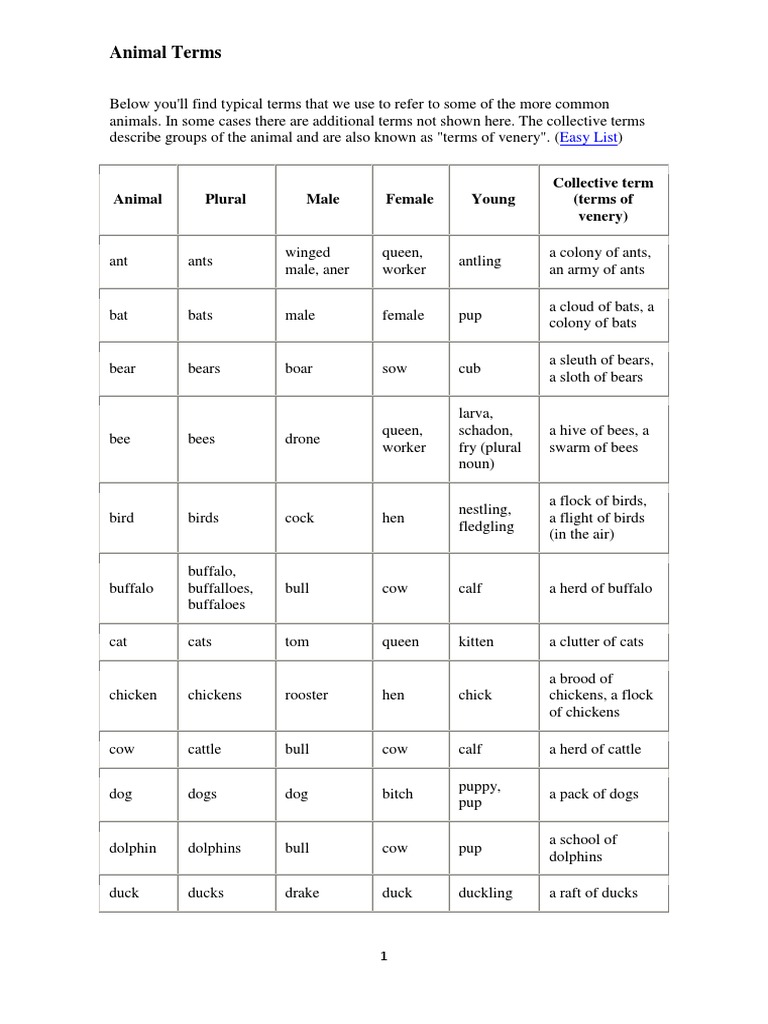 Animal Terms: Animal Plural Male Female Young Collective Term (Terms of ...