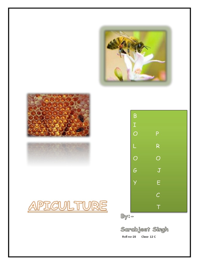 What Is Apiculture3 | PDF | Beekeeping | Honey Bee
