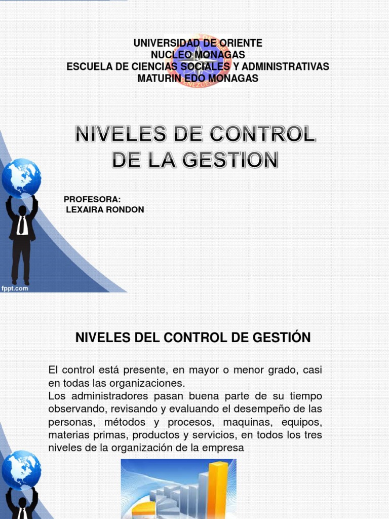Niveles de Control de La Gestion | Toma de decisiones | Cognición