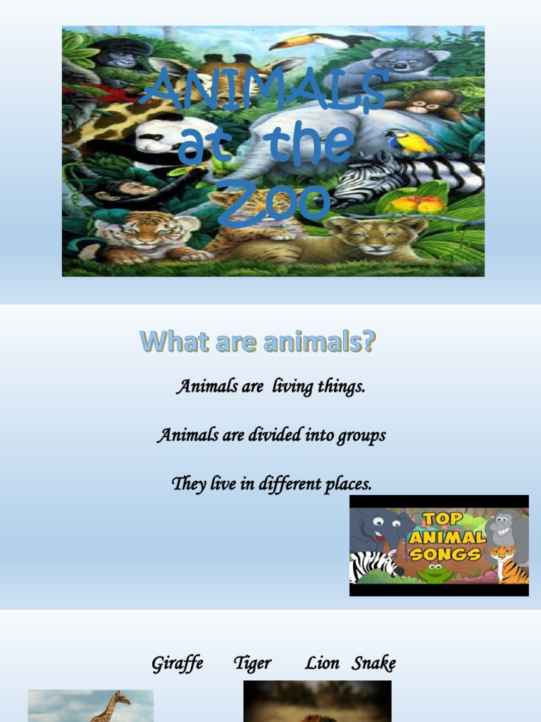 Zoo Animal Groups and Habitats | PDF