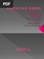 Struktur Dan Sifat Amina | PDF