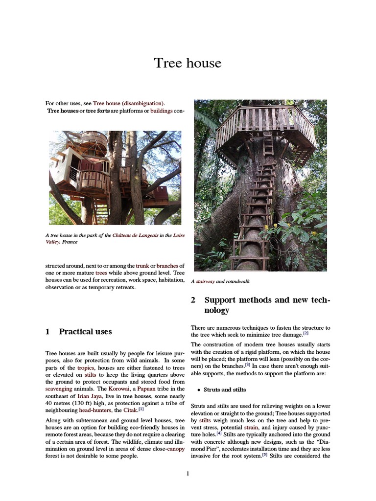 Tree House | PDF | Houses | Habitat