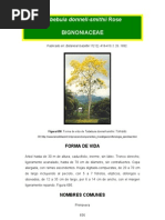 FRASES H y P Productos Quimicos Peligrosos | PDF | Alergia | Agua