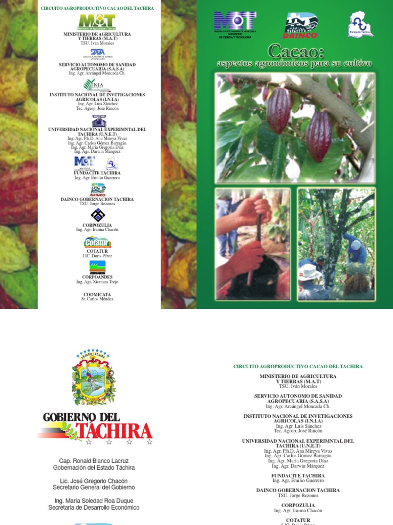 Manual Para El Cultivo Del Cacao