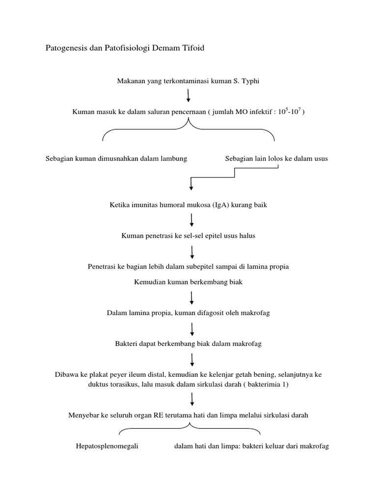 Patogenesis Dan Patofisiologi Demam Tifoid | PDF