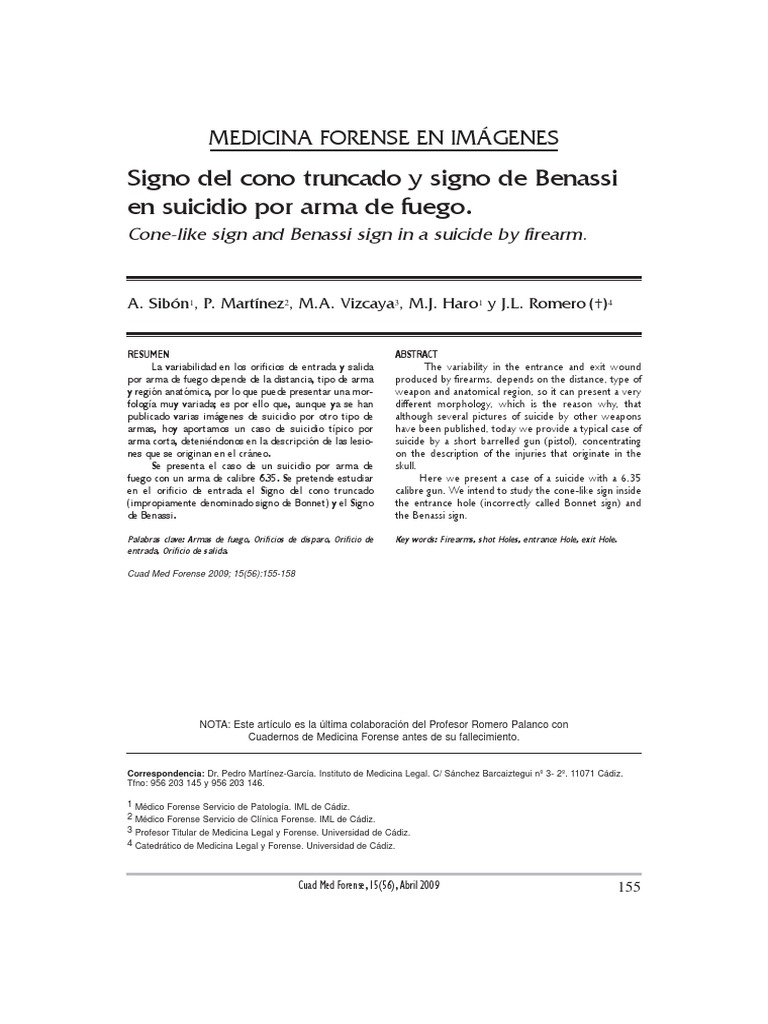 Cono Trucado de Bonnete y Signo de Benassi | PDF | Pólvora | Hueso