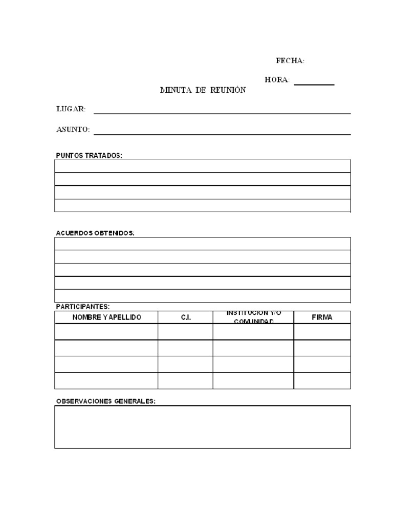 Formato de Minuta de Reunion
