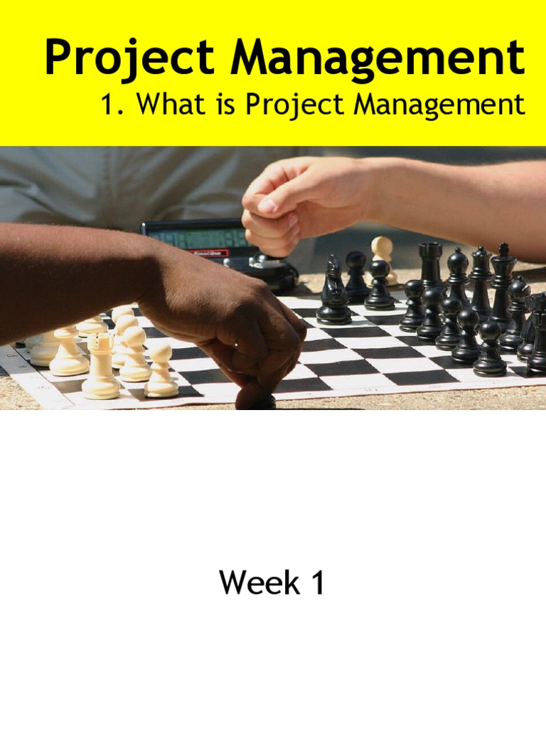 Basic of Project Management | Download Free PDF | Project Management ...