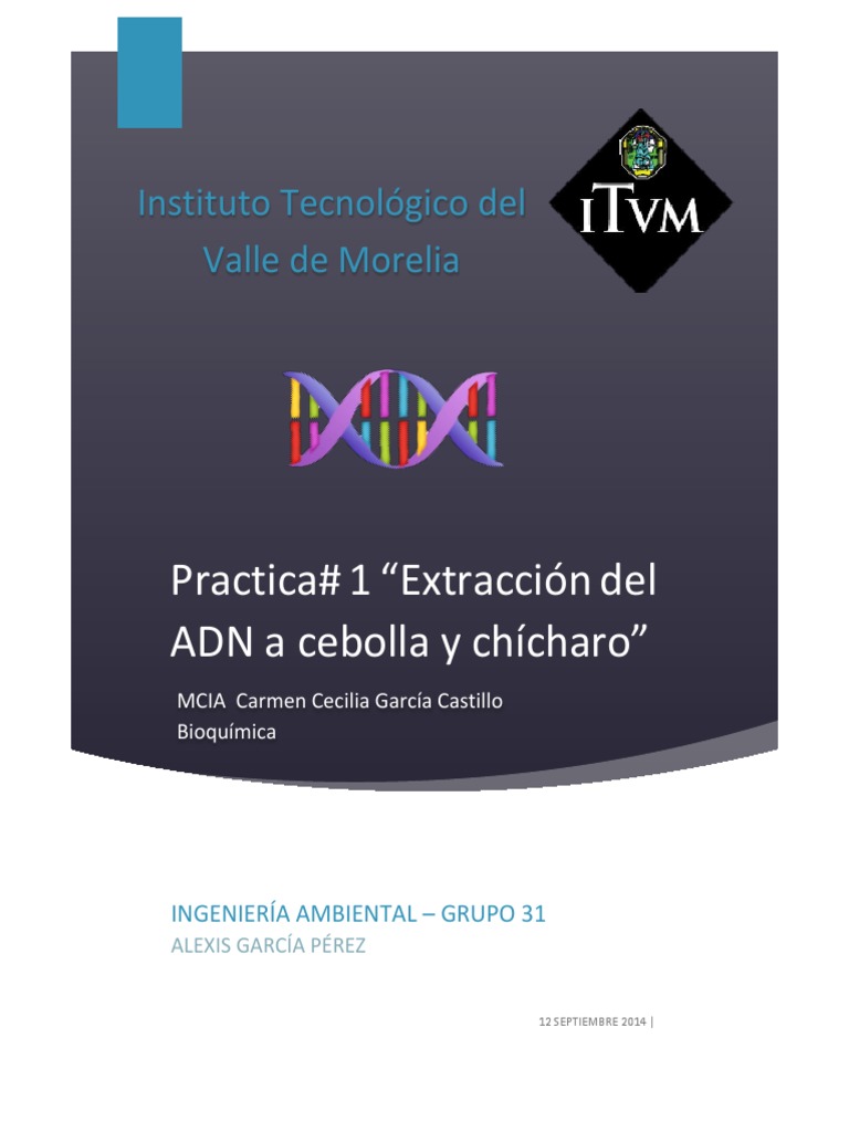 Extraccion Del ADN | PDF | Adn | Nucleo celular