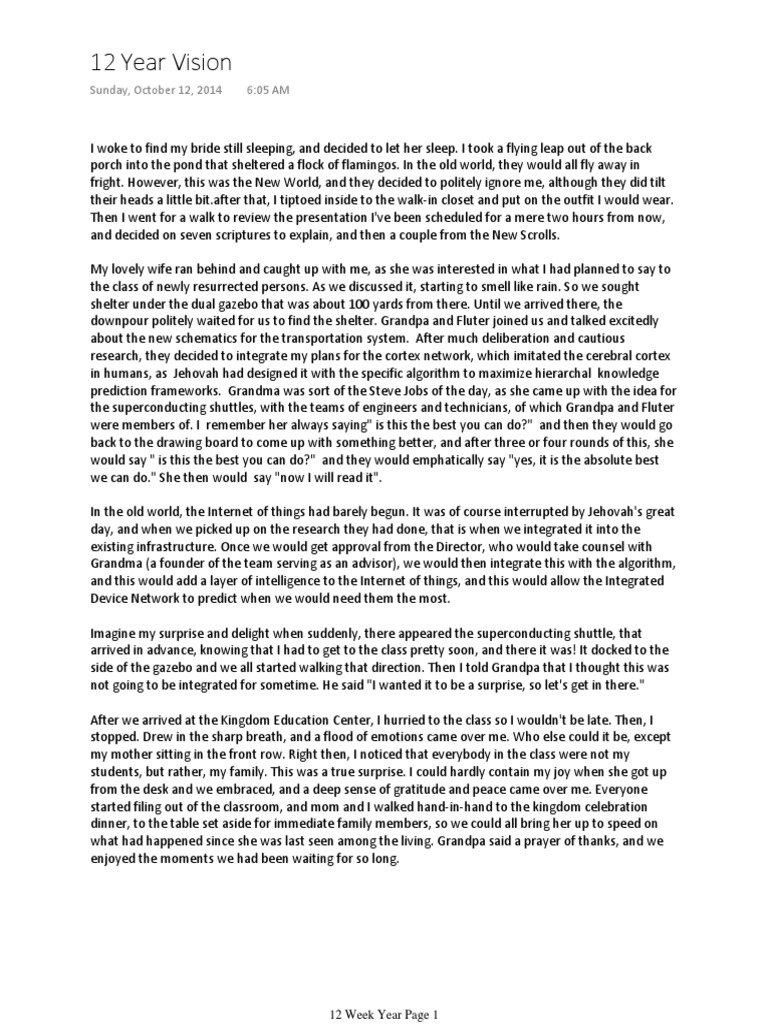 12 Year Vision | PDF