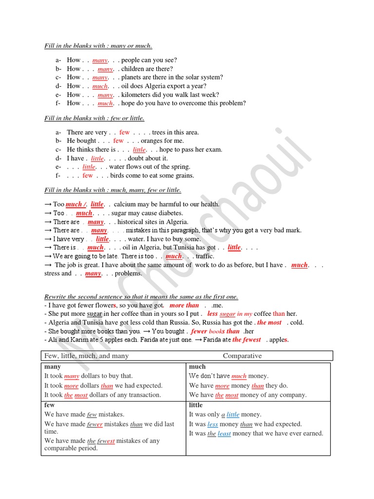 Grammar Exercise: Many, Much, Few, Little | PDF