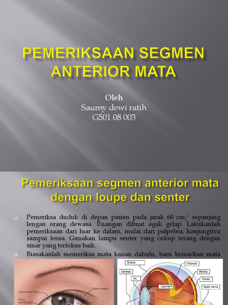 Pemeriksaan Segmen Anterior Mata | PDF