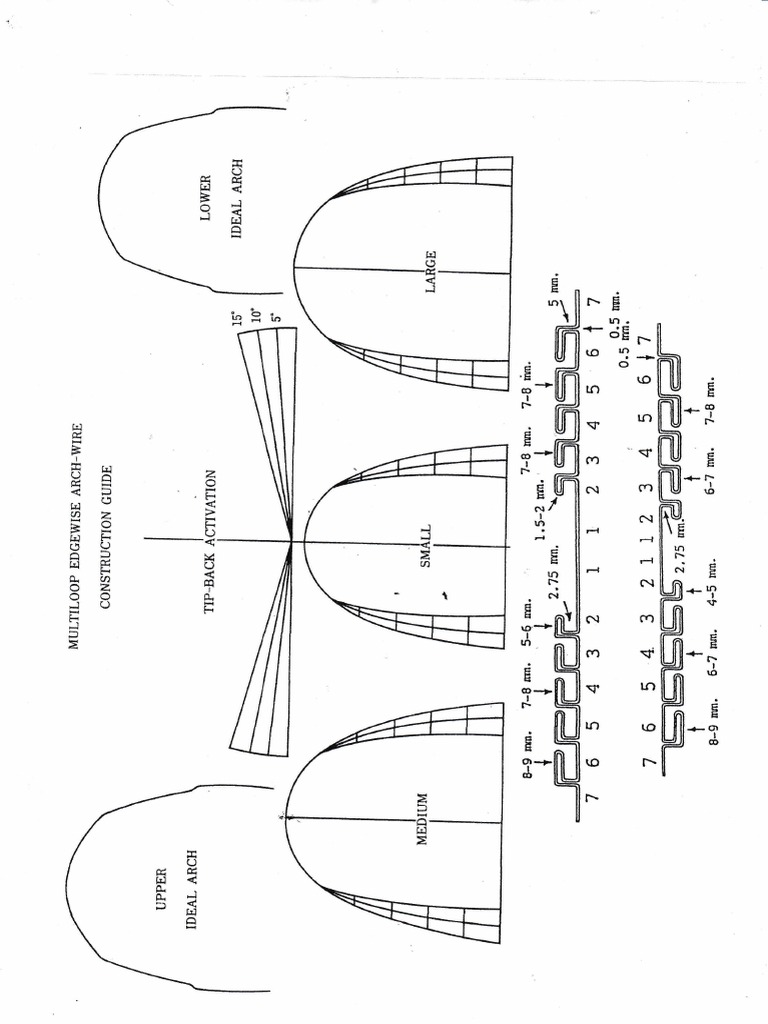 Plantilla MEAW PDF | PDF